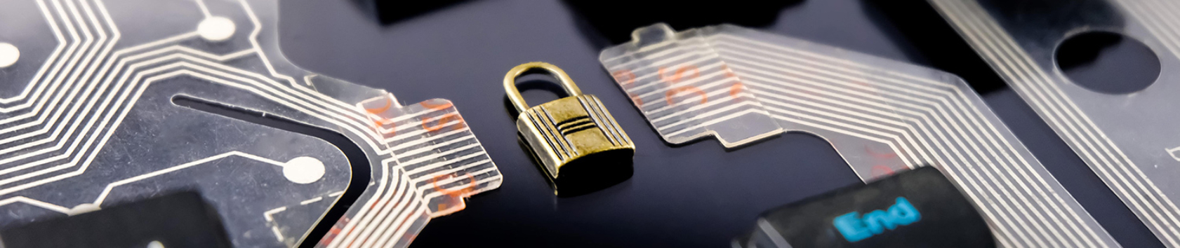 How to create your own Human Firewall | Blog | Phished.io